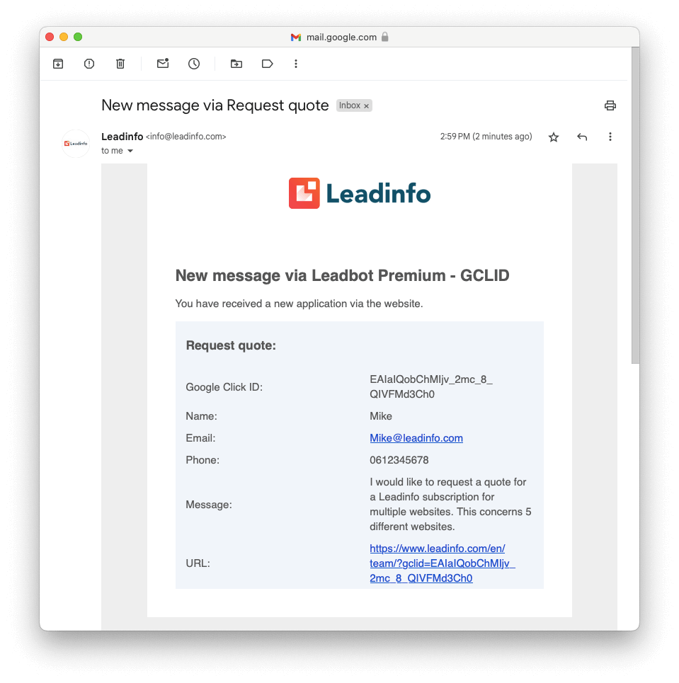 What can you do with a Google Click ID (GCLID)?