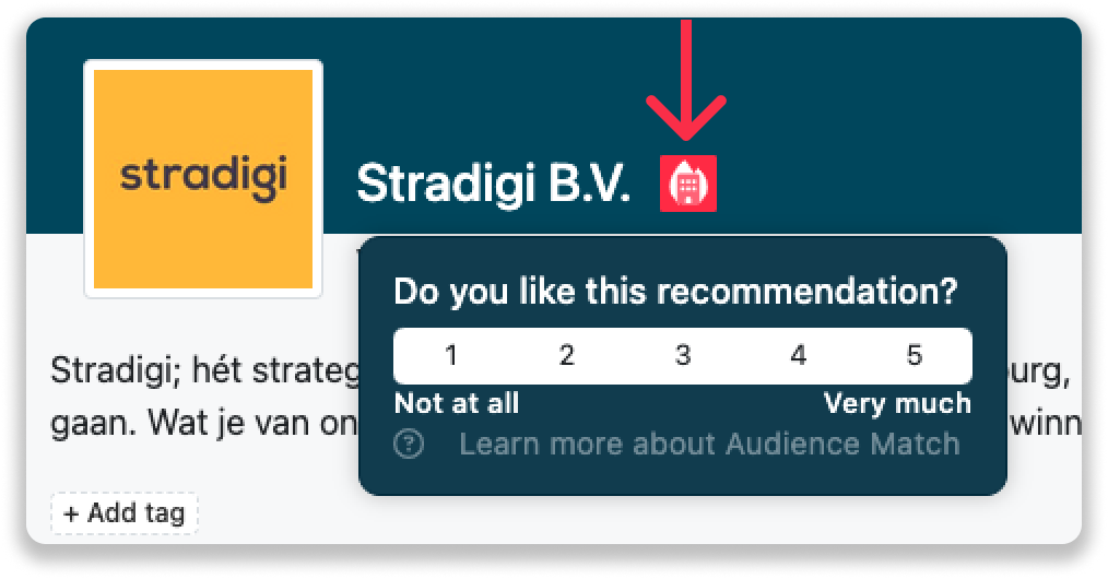 Leadinfo Audience Match