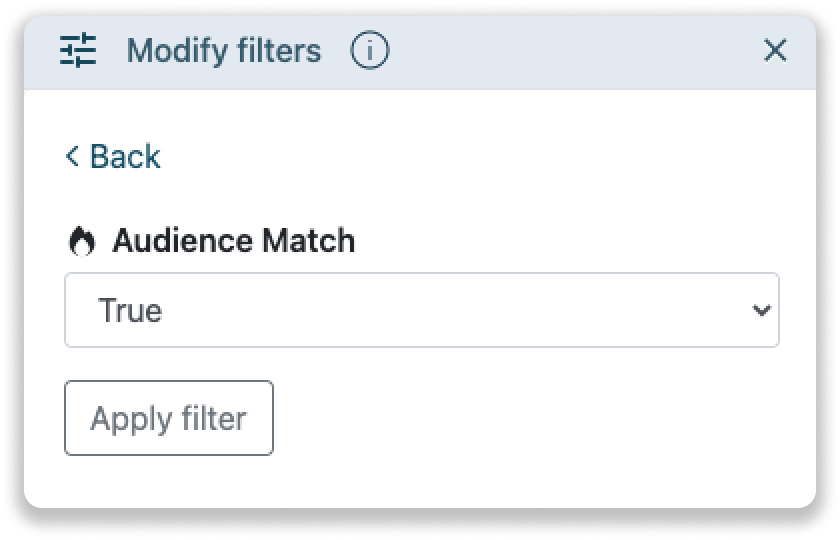 Leadinfo Audience Match